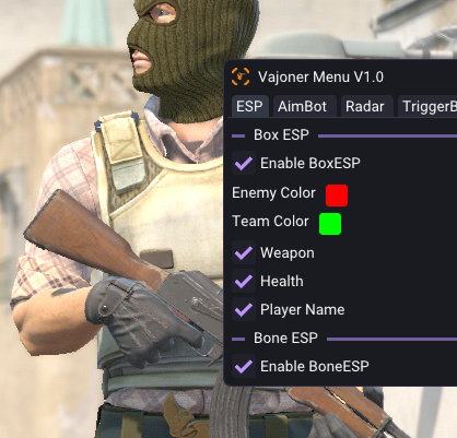Undetected CS2 Hacks: Counter-Strike 2 Cheats, Aimbot & ESP | Vajoner Menu